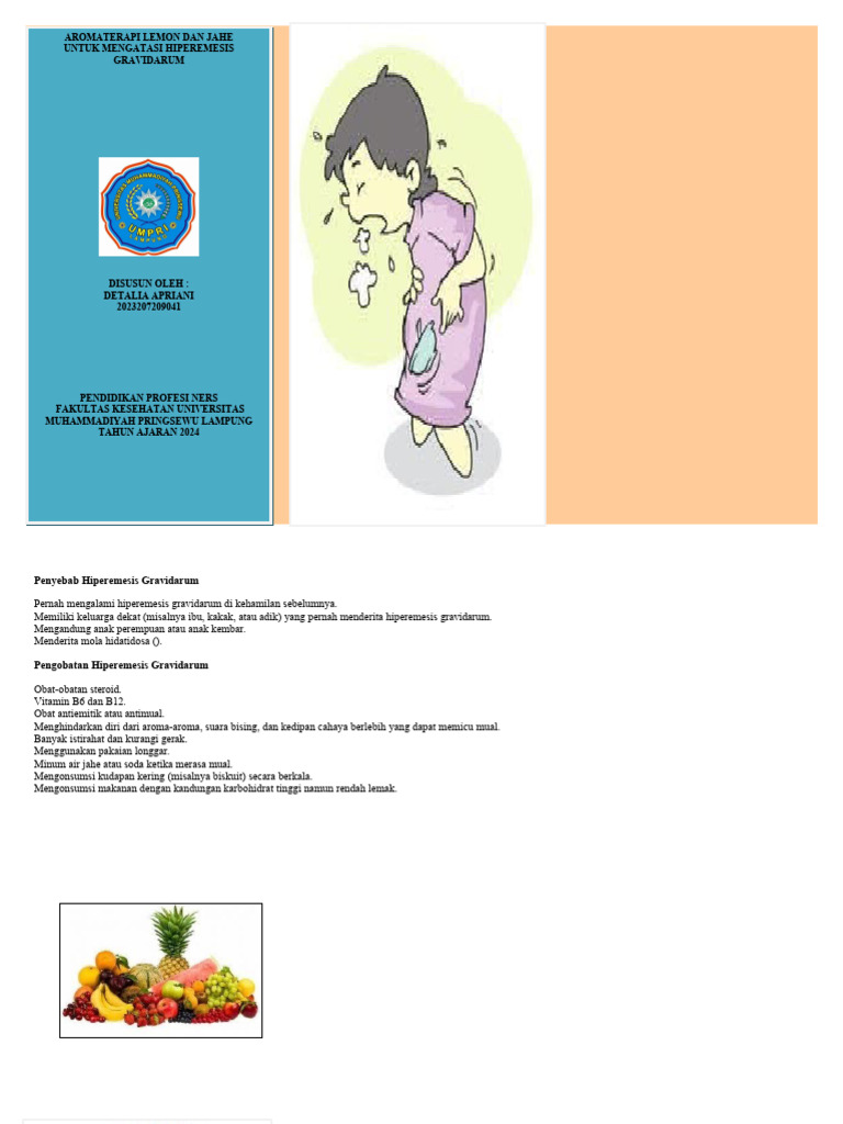 leaflet hiperemesis | PDF