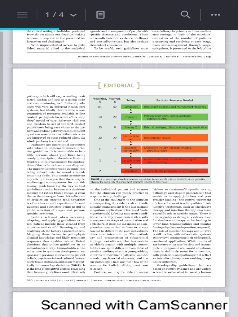 Guidelines and Pathways For Clinical Practice in Tendinopathy: Their ...