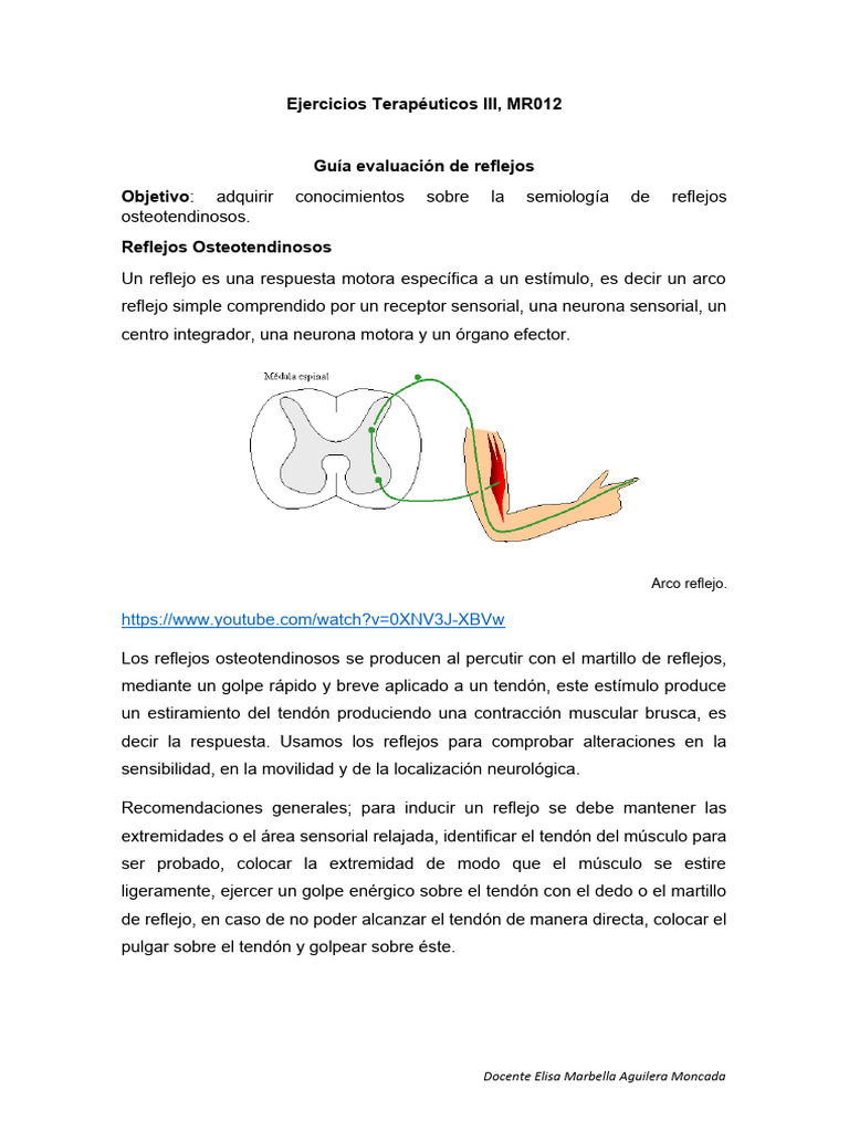 Guía de Evaluación de Reflejos Osteotendinosos | PDF | Codo | Anatomía ...
