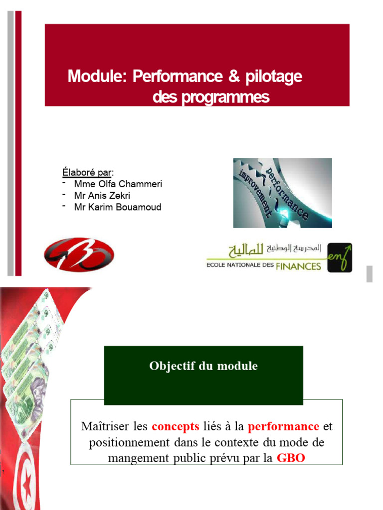 Performance et pilotage des programmes | PDF | Budget | Business