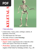 Complete List of 206 Human Bones | PDF | Vertebra | Toe