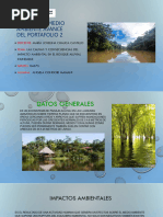 Características de la Sabana Húmeda con Palmeras | PDF | Deforestación ...