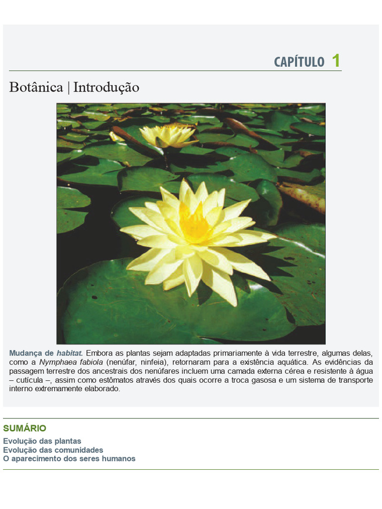 Ravenal 2014-Cap1 | PDF