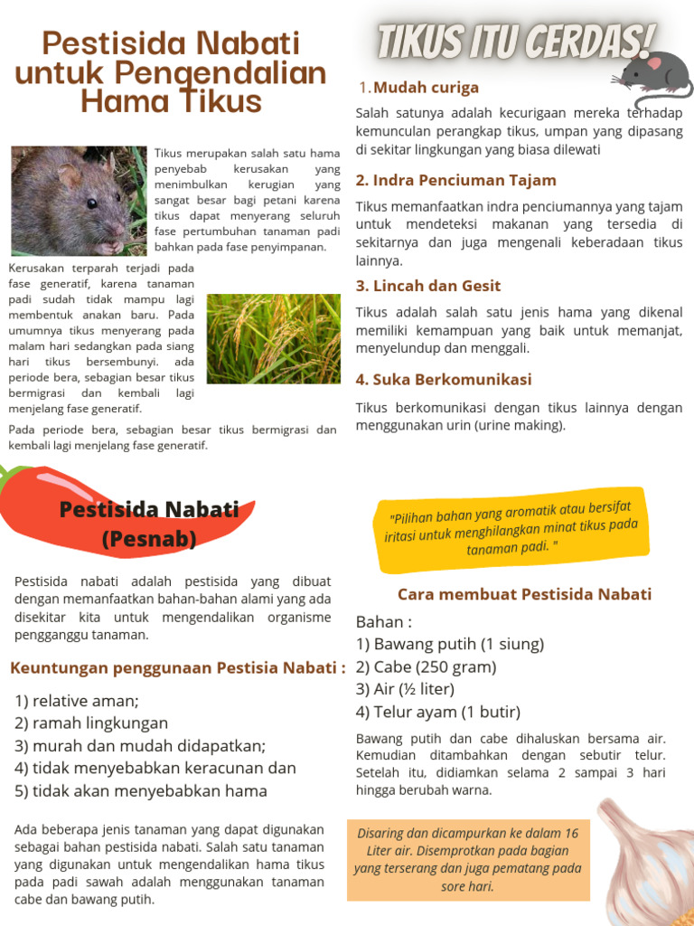 Pestisida Nabati Untuk Hama Tikus | PDF