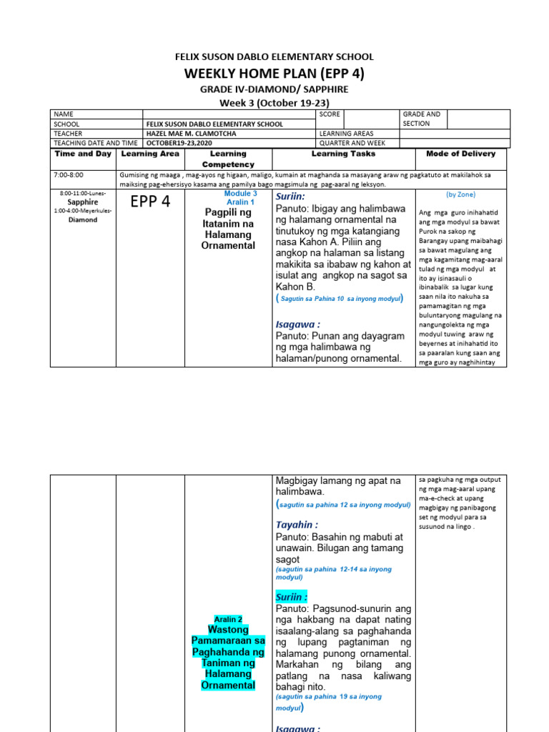 3rd Weekly Home Plan Epp4 Hasel | PDF