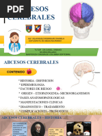 Choque Obstructivo | PDF | Fisiología | Angiología