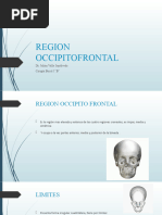 Region Superciliar ANATOMIA 2 FOLP | PDF | Anatomía humana | Cabeza y ...