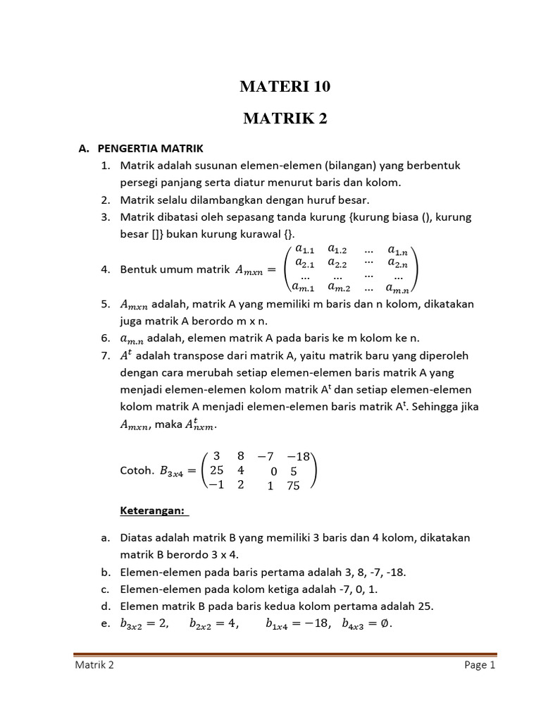 Panduan Lengkap Matrik: Definisi, Jenis, dan Operasi | PDF