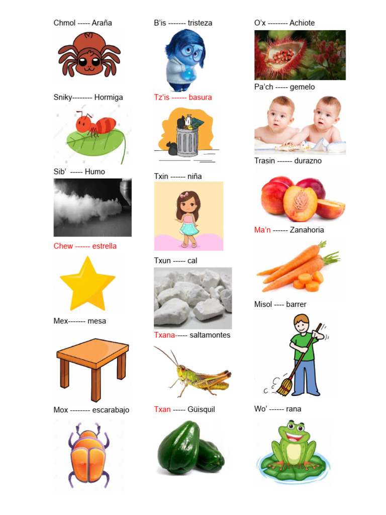 Vocabulario en Mam | PDF