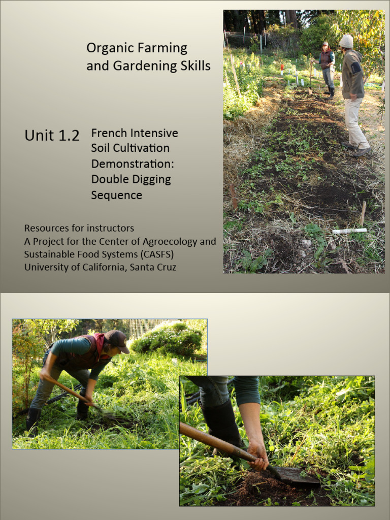 1.2 Double Digging Demo | PDF