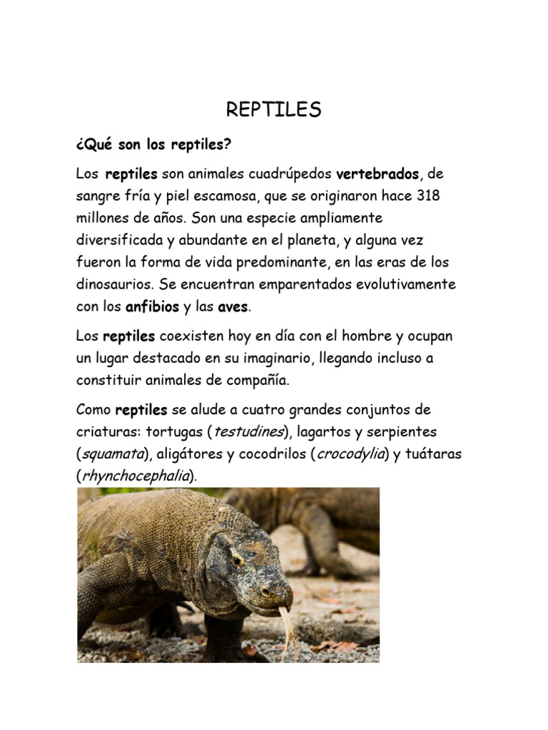 REPTILES | PDF | Reptil | Tortuga