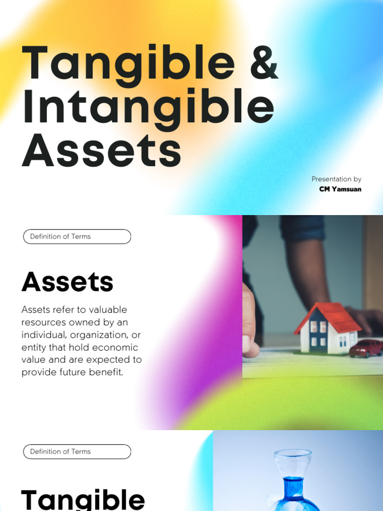 Tangible and Intangible Assets | PDF