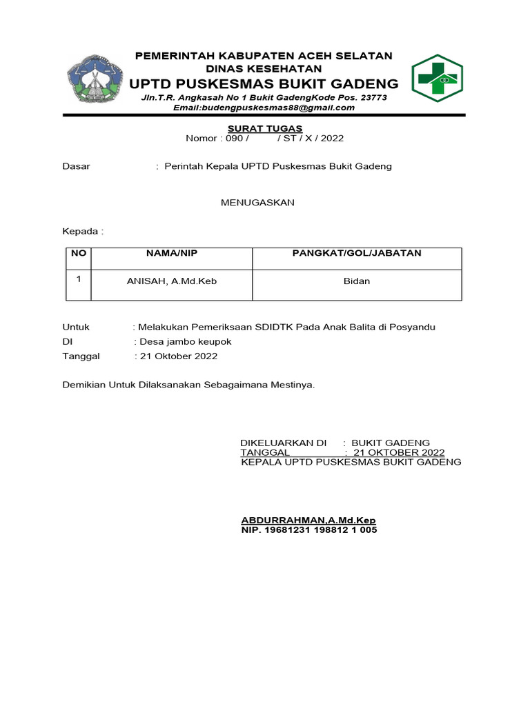 ST PEMERIKSAAN SDIDTK. Ifka | PDF