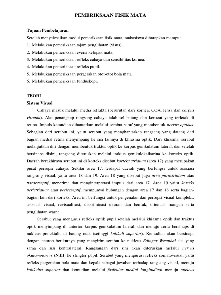 Pemeriksaan Fisik Mata | PDF