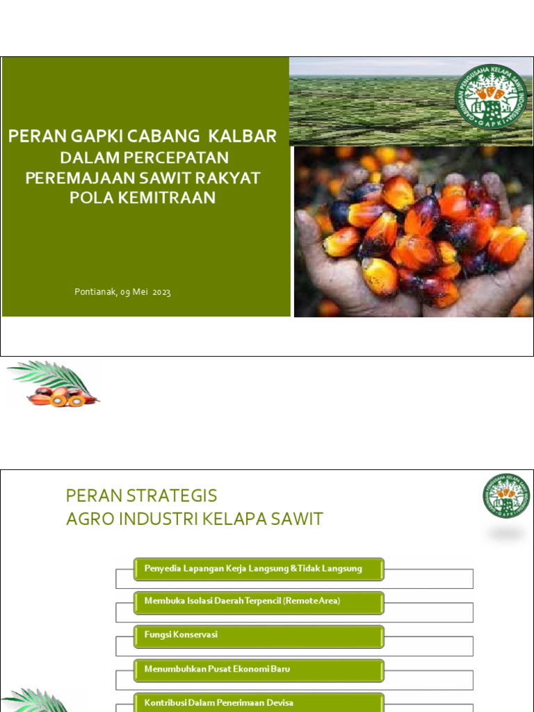 Gapki - Disbun PSR Presentation 090523 | PDF