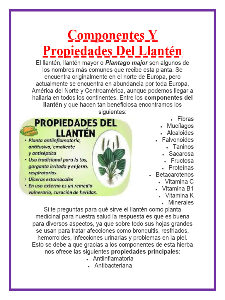 Componentes y Propiedades Del Llantén | Descargar gratis PDF | Causas ...