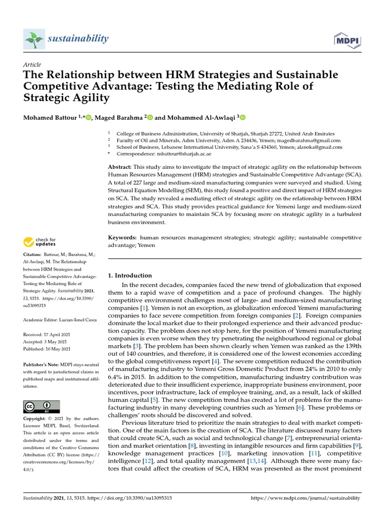 The Relationship Between HRM Strategies and Sustainable Competitive ...
