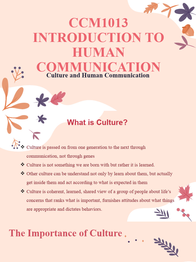 CCM1013 Chapter 3 - Culture and Communication | PDF