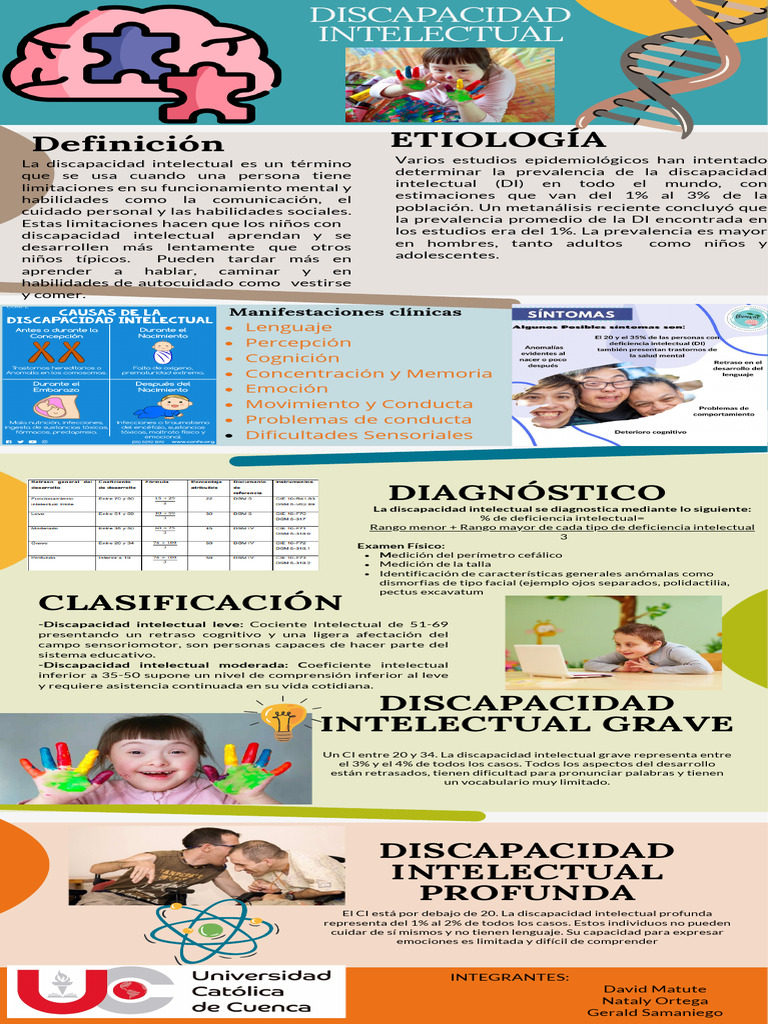 Infografía Discapacidad Intelectual | PDF