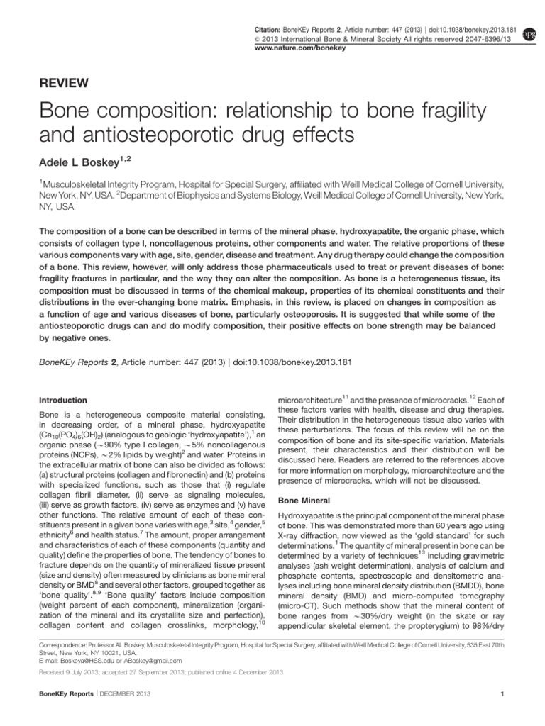 Bone Composition | PDF