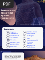 Anatomía de la Región Esternal | PDF | Tórax | Sistema esquelético