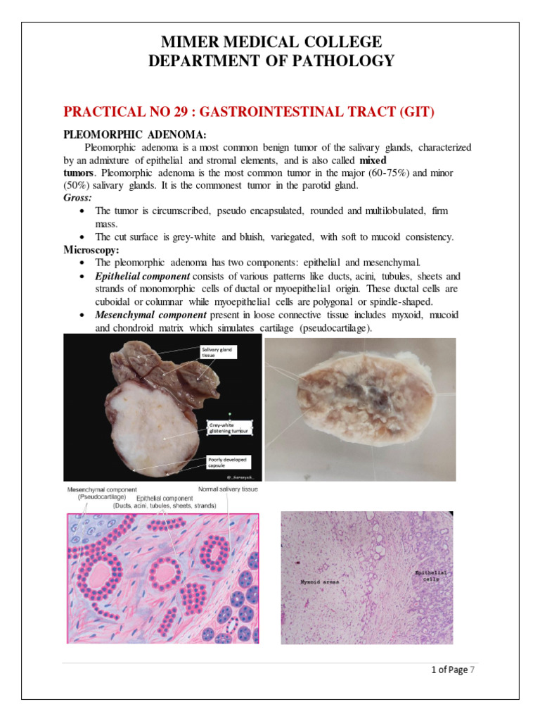 Practical No 29 - Gastrointestinal Tract | PDF | Stomach | Adenoma