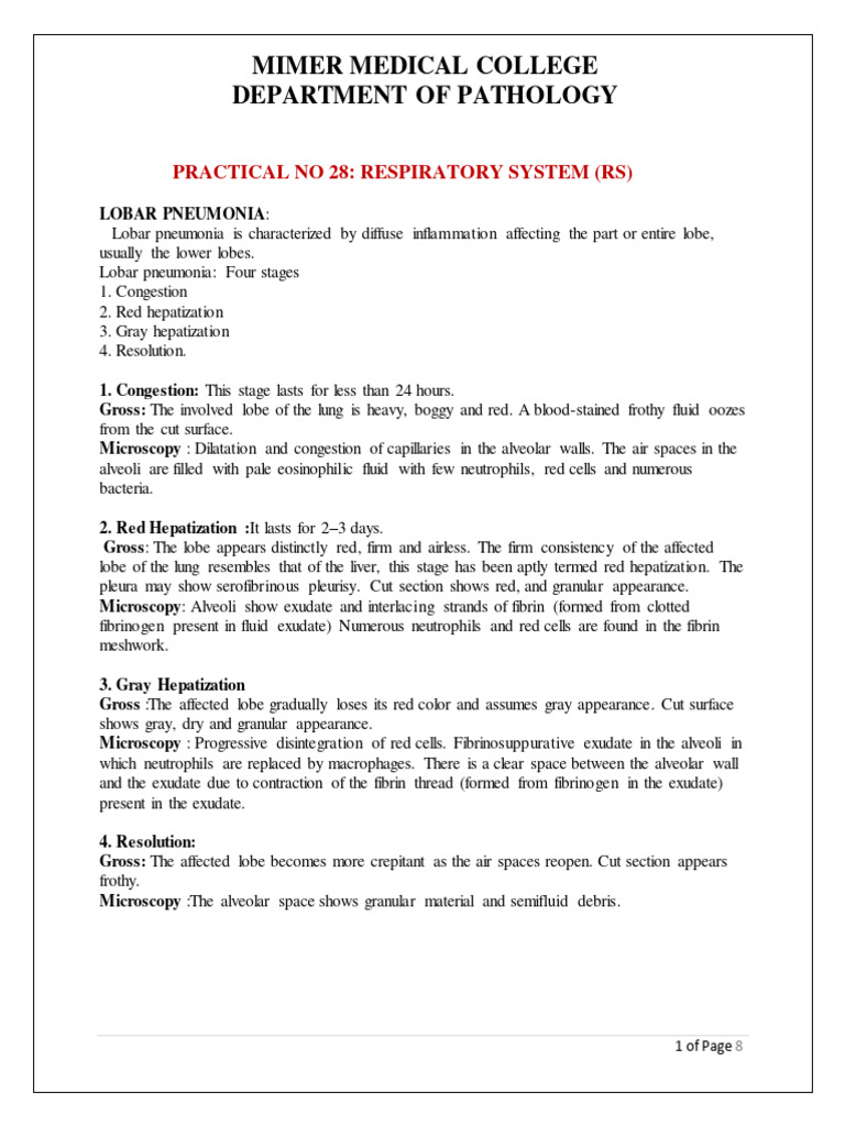 Practical No 28 - Respiratory System | PDF | Lung | Metastasis