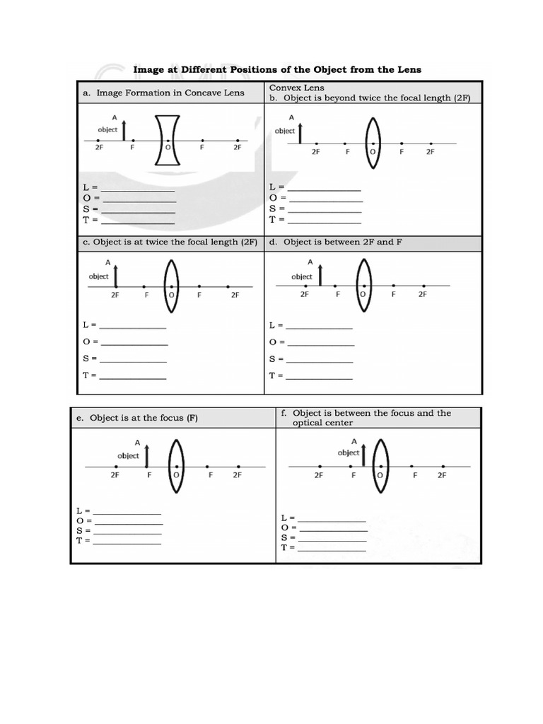 ACTIVITY Lenses | PDF