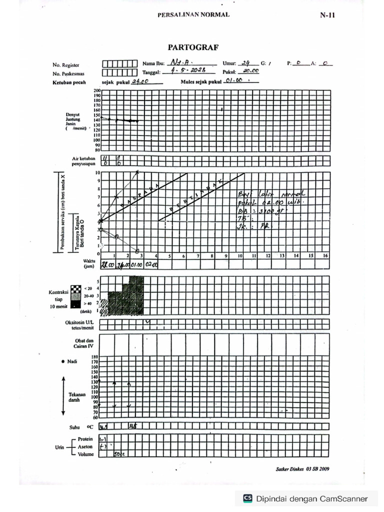 Bukti Pengisian Partograf | PDF