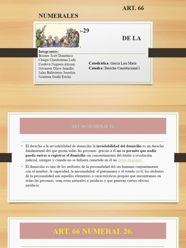 Presentación Del Art. 66 | PDF | Derechos | Libertad