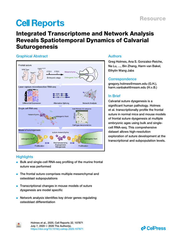 Integrated Transcriptome And Network Analysis Reveals Spatiotemporal Dynamics Of Calvarial