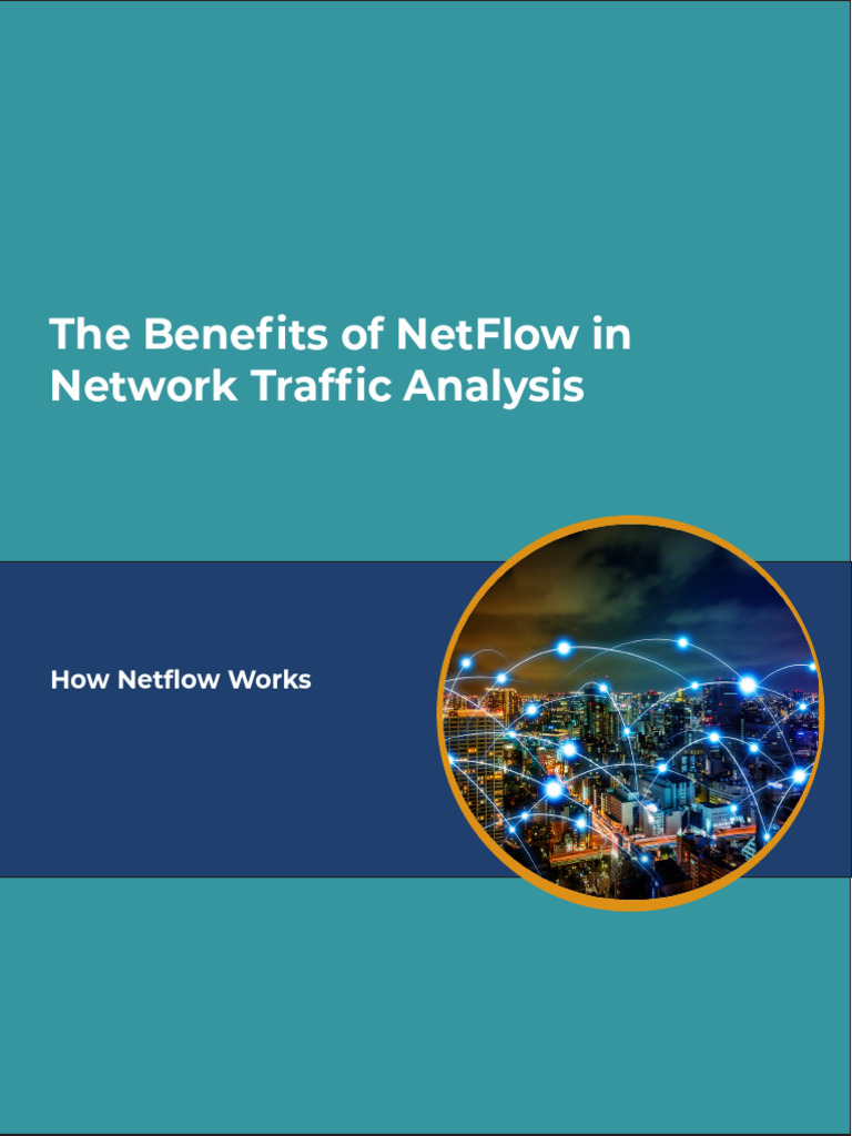 The Benefits of NetFlow in Network Traffic Analysis White Paper | PDF | Computer Network ...