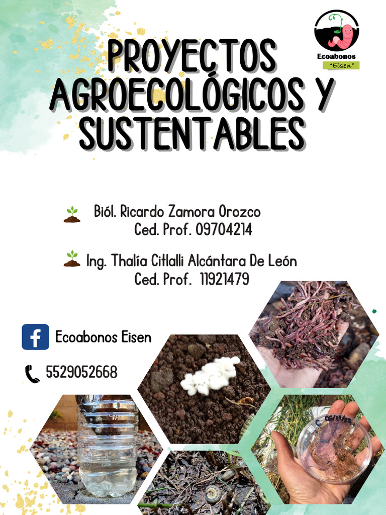 UTTEC Proyectos | PDF | Ciencias de la Tierra | Entorno natural