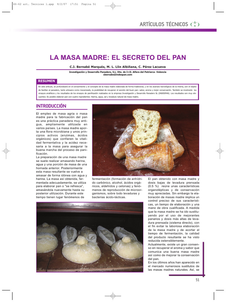 Masa Madre-Elsecreto Del Pan | PDF | Panes | De masa fermentada