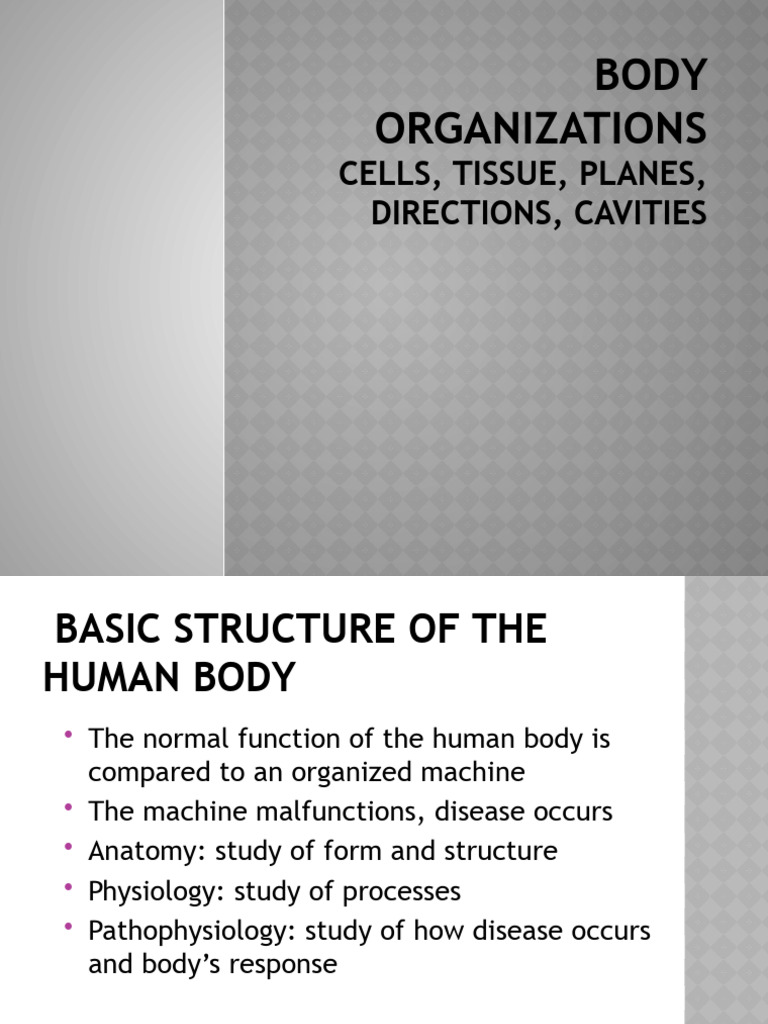 Human Body Structure and Function Overview | PDF | Tissue (Biology ...