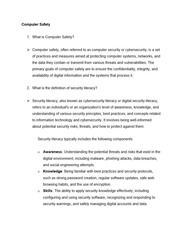 Computer Safety | PDF | Information Security | Security