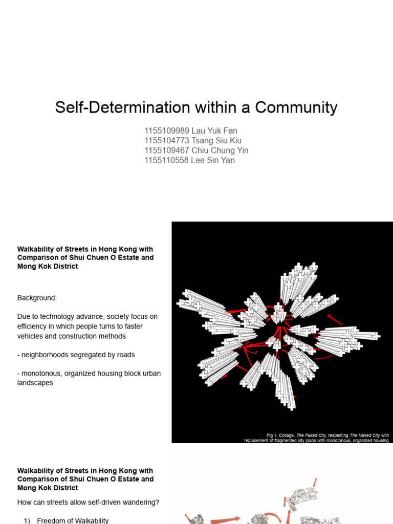 Self-Determination Presentation | PDF | Top Down And Bottom Up Design