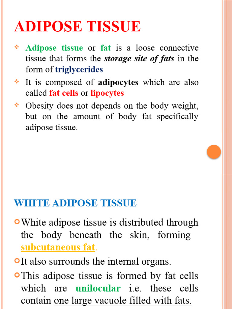 Adipose Tissue | Download Free PDF | Adipose Tissue | Adipocyte