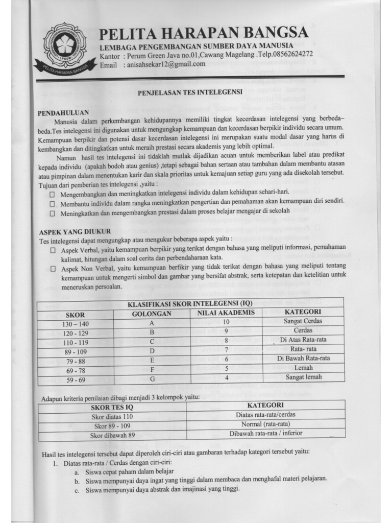 Hasil Tes IQ 2023 | PDF