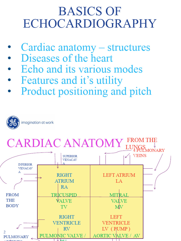 Basics of Echocardiography | PDF | Heart | Echocardiography