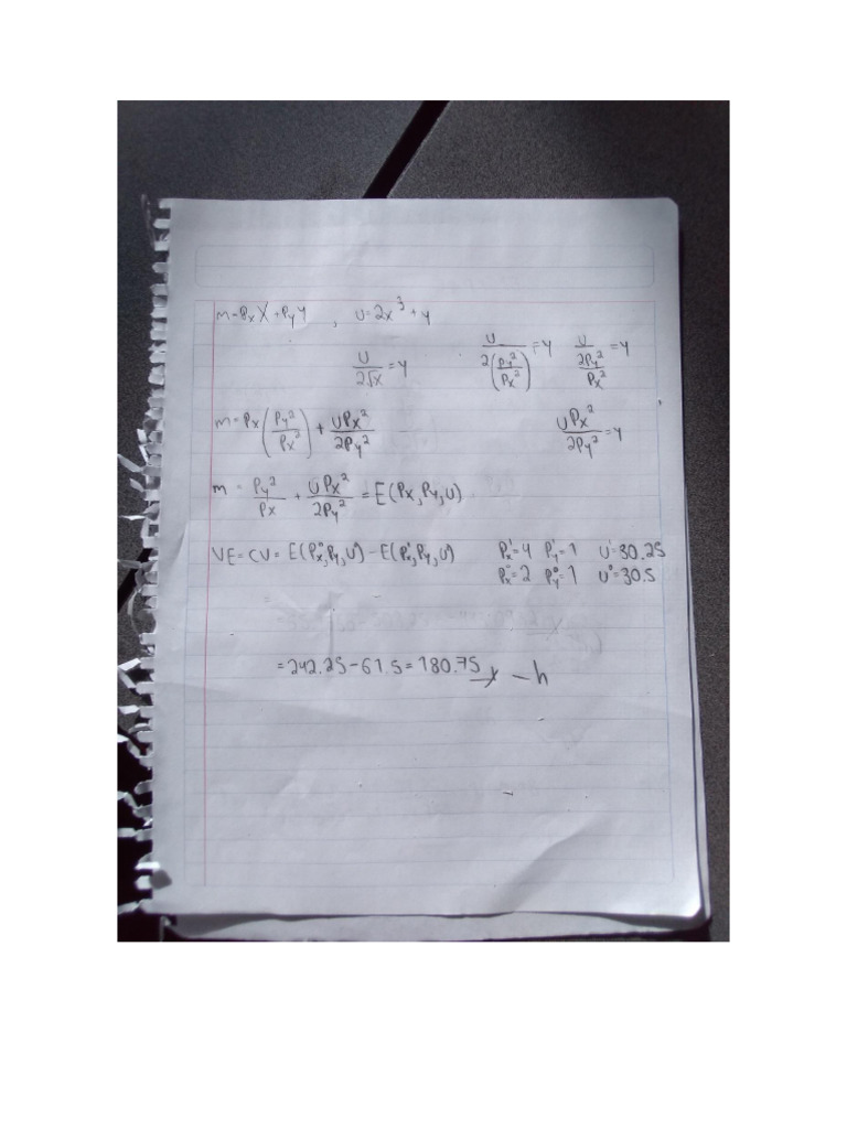 Examen Parcial Micro | PDF