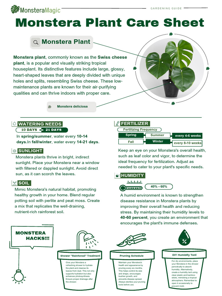 Monstera | PDF | Plants | Leaf