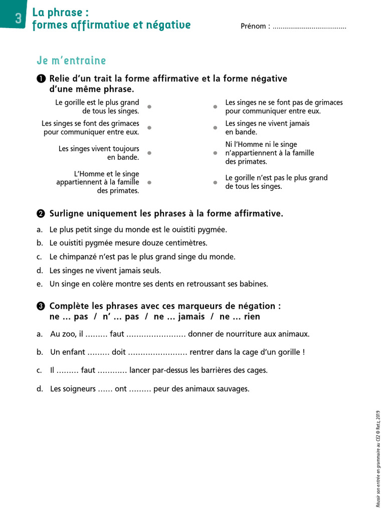 Phrases Affirmatives et Négatives CE2 | PDF