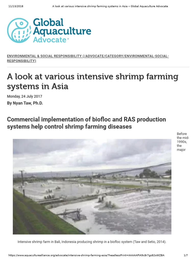Intensive Shrimp Farming in Asia | PDF | Aquaculture | Hydrology
