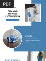 Cleaning Company Profile Overview | PDF