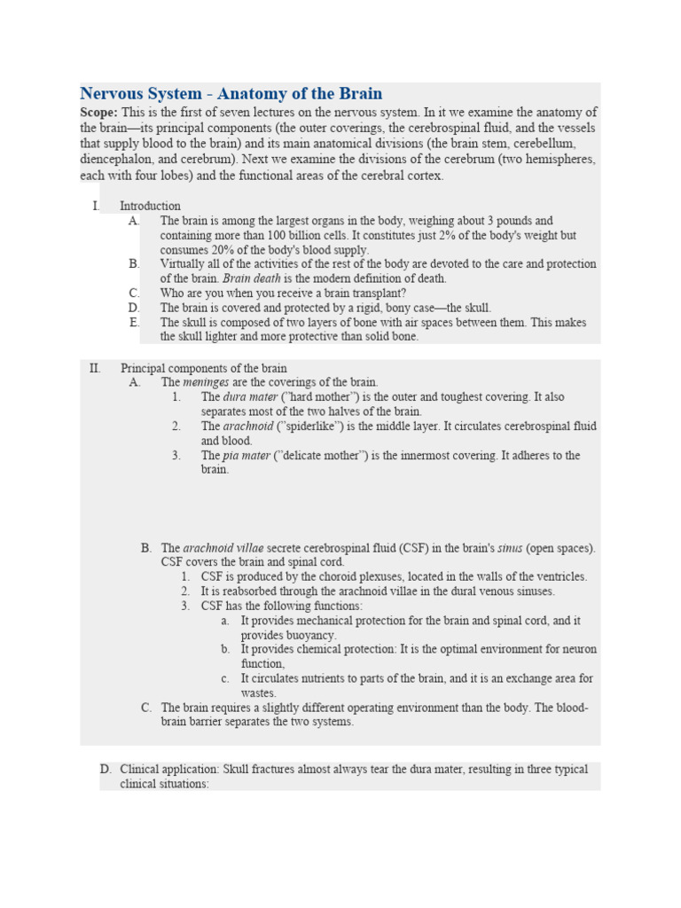 Nervous System | PDF