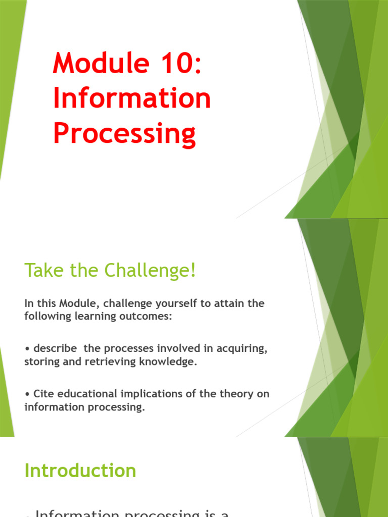 Information Processing | PDF | Memory | Recall (Memory)