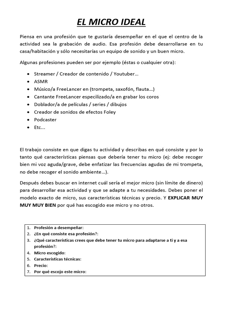 El Micro Ideal | PDF