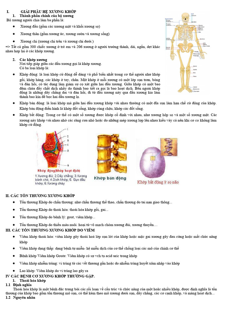 SLB Xương KH P | PDF
