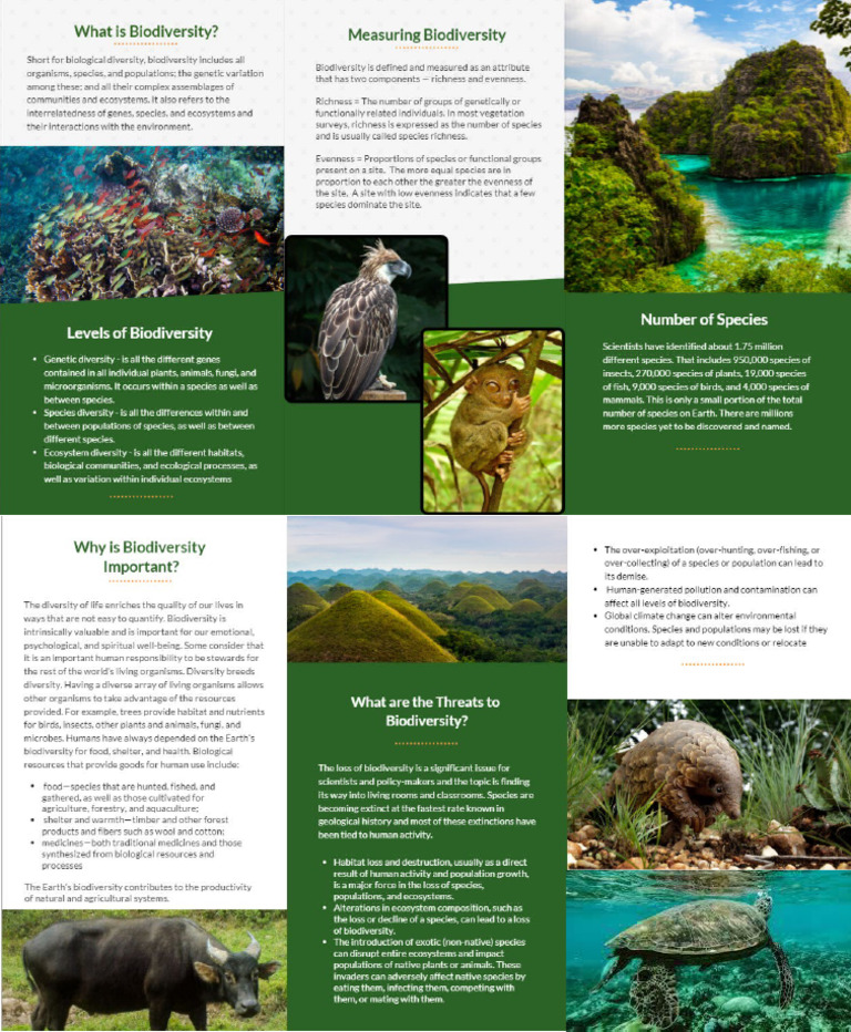 BIODIVERSITY PAMPHLET | PDF